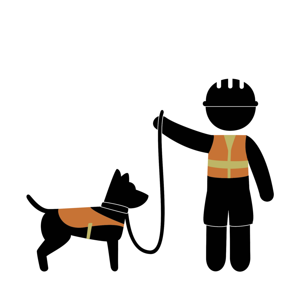 Introducing Flagman™ - Flagman Inc.